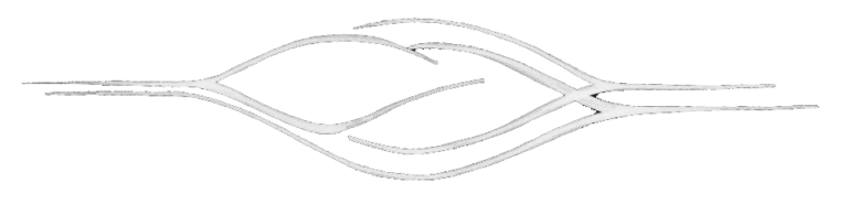 THE SLEUK RITH INSTITUTE